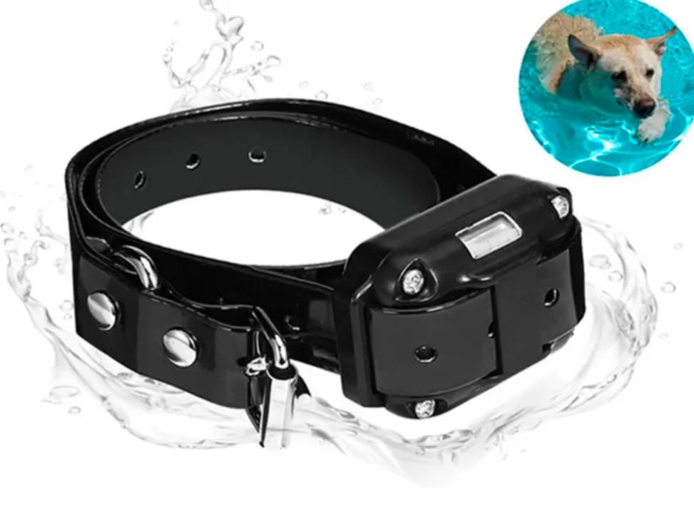 Spare Collar | for Remote Training Collar – Western Pet Products